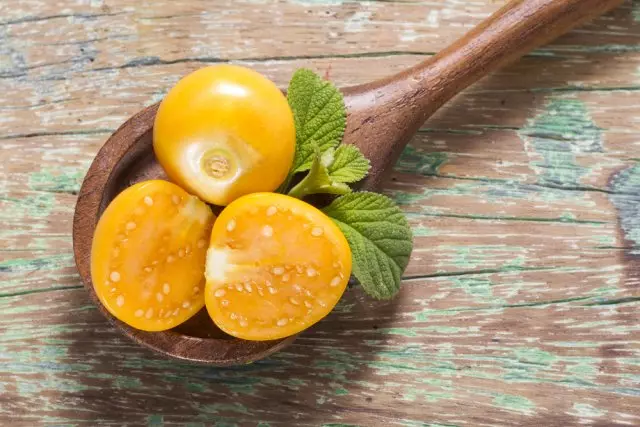 Propietats útils de Physalis