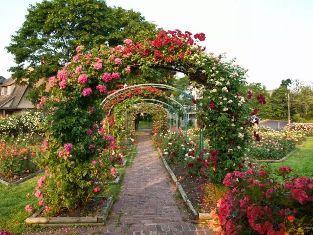 Arch for flowers