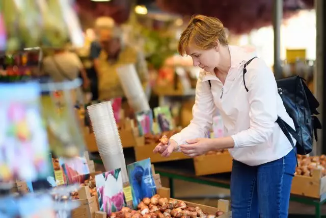 Buying bulbs in the market