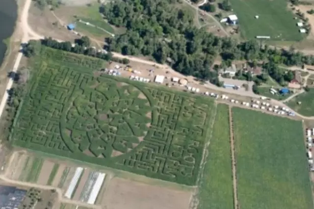 Crop Circles.