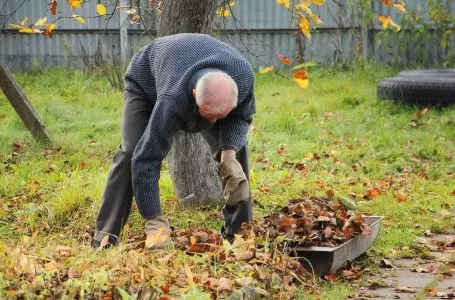 Amarillo, rojo, púrpura - cómo y por qué se cambian las hojas en otoño 4697_9