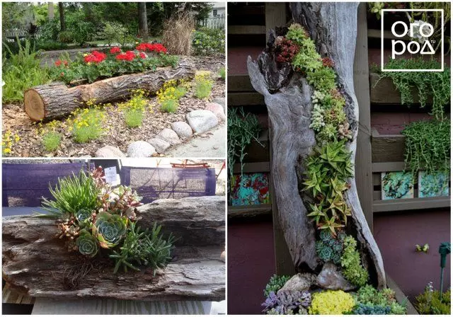 Container til blomster gør det selv, log