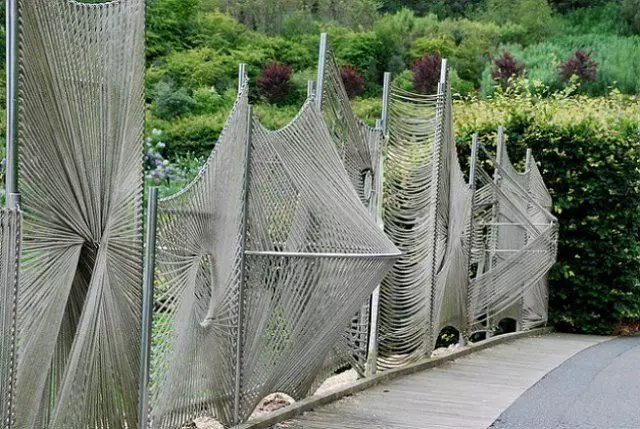 Hekken voor de zomercottage: soorten en kenmerken van materialen 478_15