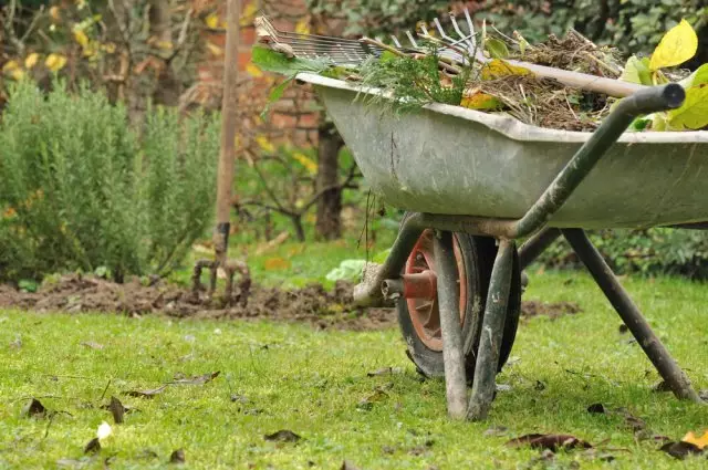 Residuos da planta de limpeza