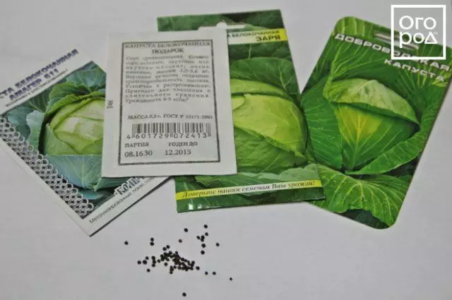 Cabbage Seeds