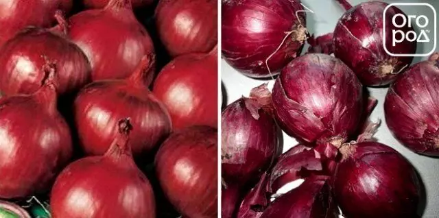 Bolo ea boea ba onion crimson