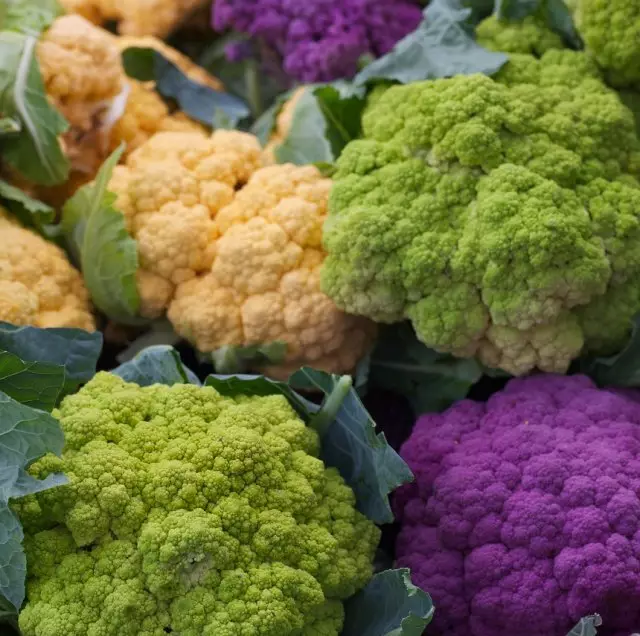 UCauliflower we-Orange