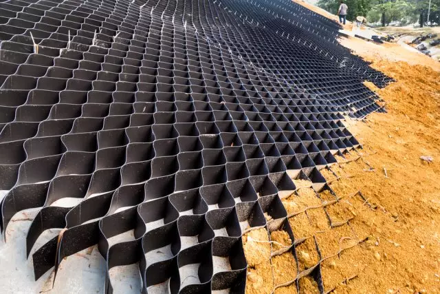 Geogrid 3 முட்டை.