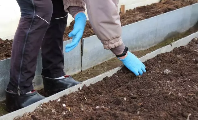 20 articoli obbligatori che ogni giardiniere deve esibirsi 4902_27