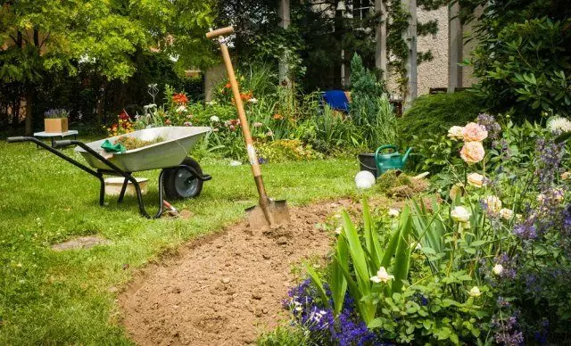 20 articoli obbligatori che ogni giardiniere deve esibirsi 4902_39