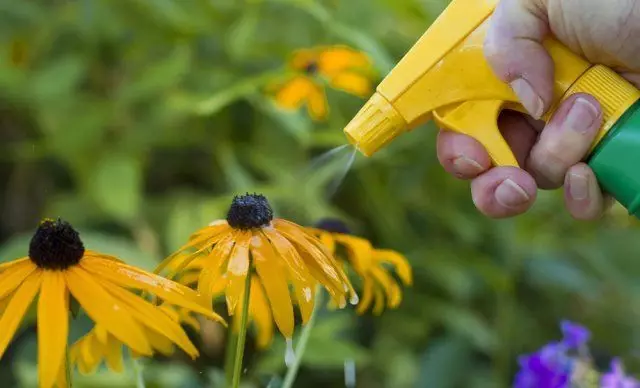 20 articoli obbligatori che ogni giardiniere deve esibirsi 4902_47