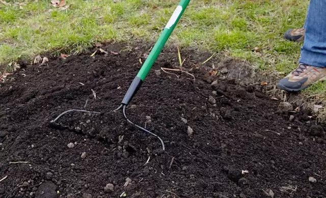 Comment habiter un lit de fleurs pour les roses