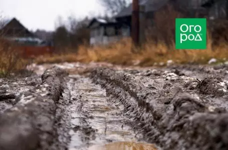 Бакча партнерлыгы әгъзасы нинди хисләр белән очрашырга мөмкин 4923_4