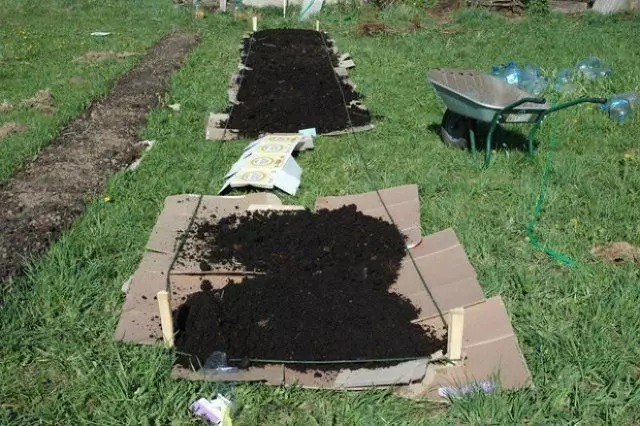 Cartão da morango do mulching