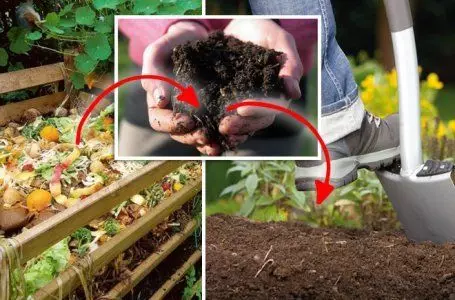 O melhor para morangos de mulch: 10 materiais para todos os gostos e carteira 501_25