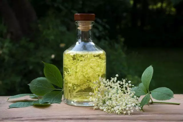 الشمبانيا من Elderberry