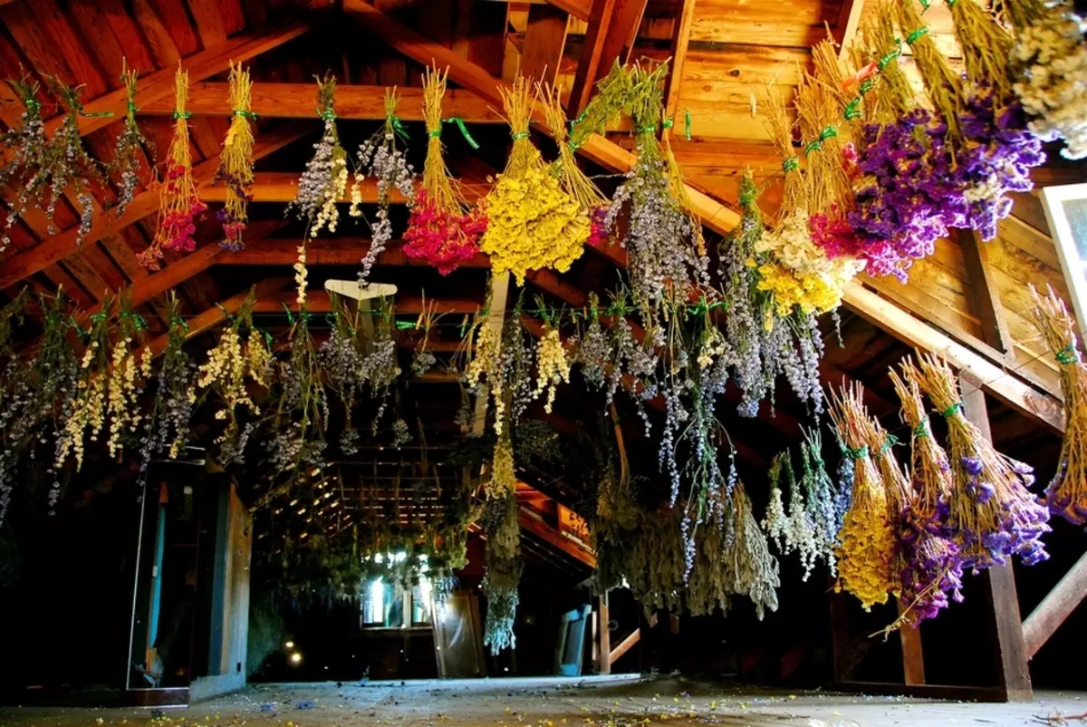 Como secar flores para bouquets