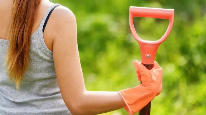 : Woman Working In The Garden.