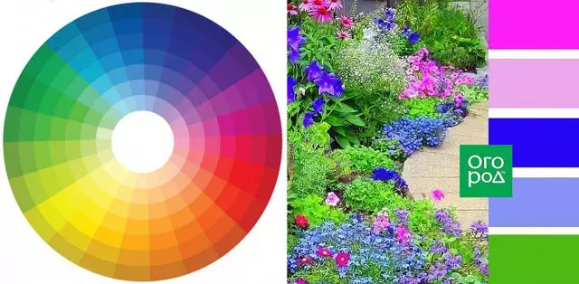 Blaue Farbe in der Landschaftsdesignwert-Schattierungen Pflanzen Blumen