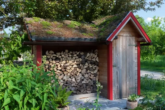 薪を持つ庭の小屋の小屋