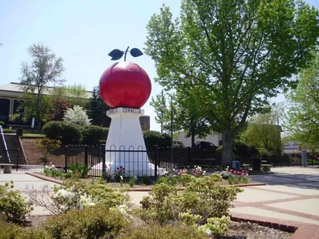 Památník červené jablko v USA