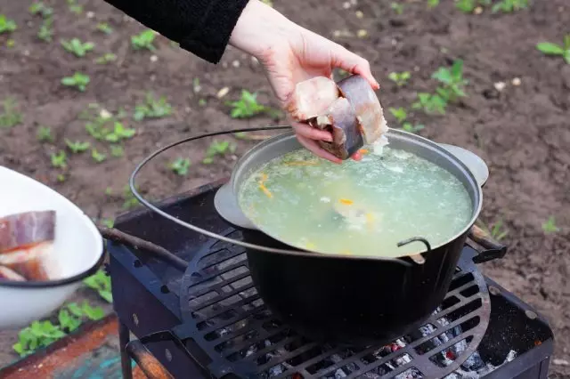 Cuisiner du poisson dans le pays