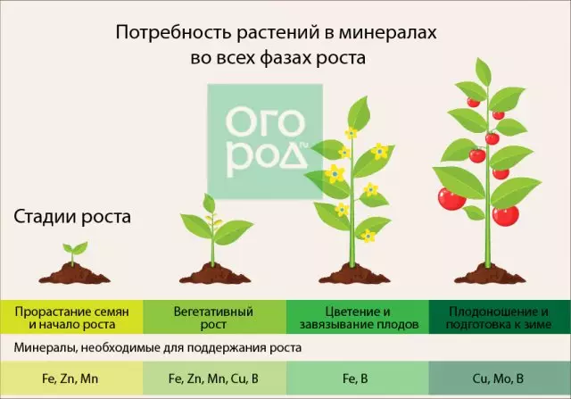 Chellizat Fertilizare