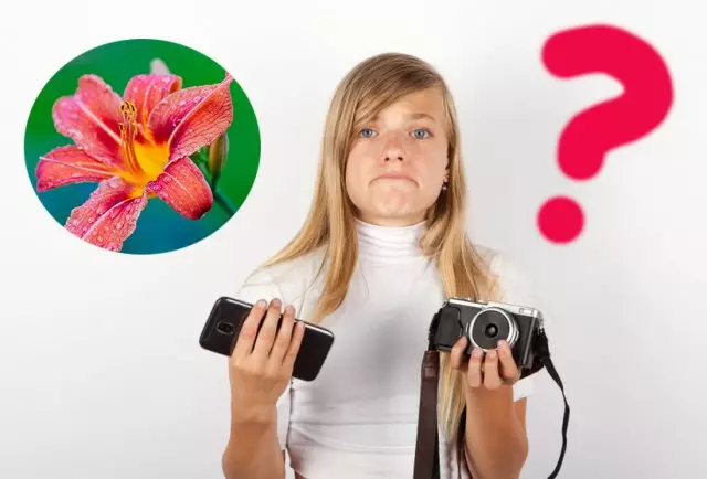 Hvor smukt og korrekt fotografering af blomster