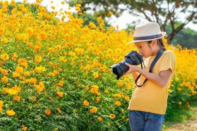 Hvor smuk og korrekt skyder blomster