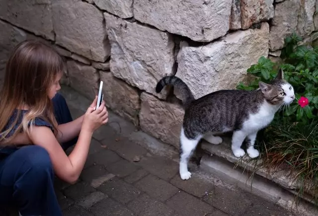 Milyen szép és helyesen fényképeznek a virágok