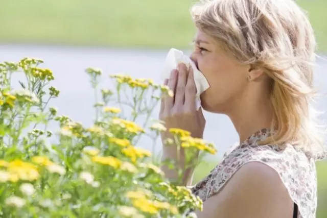 Allergie voor stuifmeel