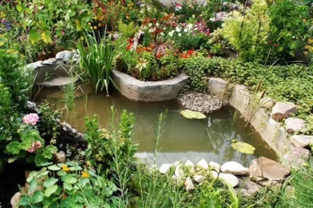 Eau dans le jardin hypoallergénique