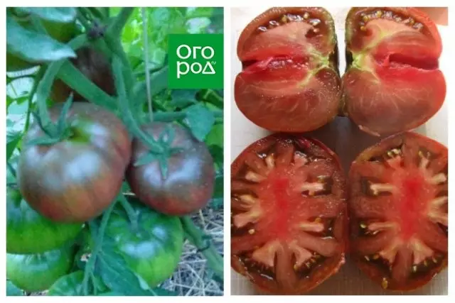 Exotische Sorten von Tomaten