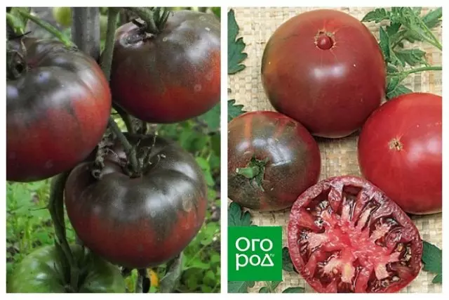 Exotische variëteiten van tomaten