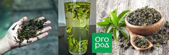 Gradate Tea στο σπίτι: Πώς και γιατί το κάνετε