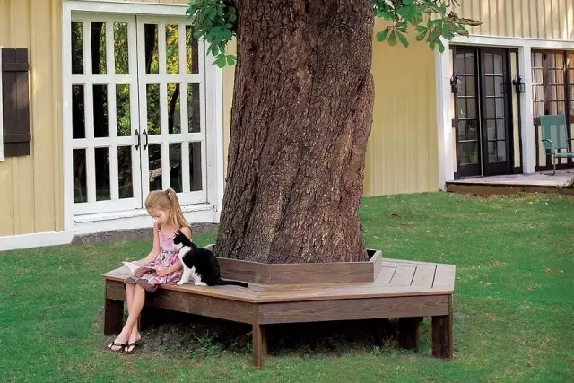 Bank um den Baum herum