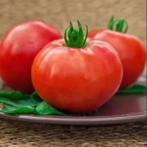 Tomato padithah