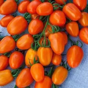 Tomato Amber Clouds.