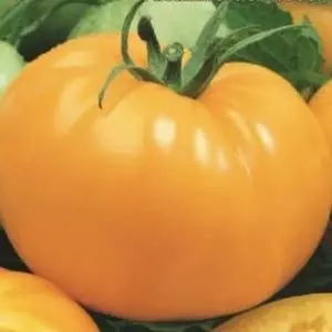 Rajče tomatogo.