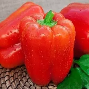 Pepper Bulgarian Red Kubovich