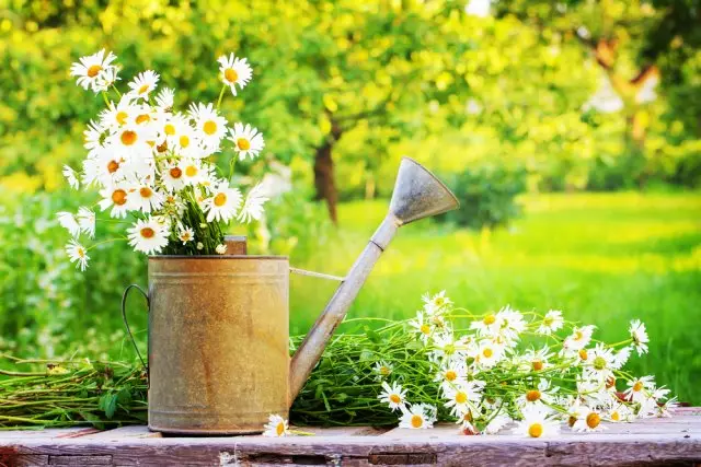 Fungerar i blomsterbädden