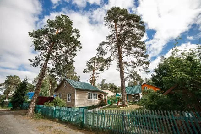 Straße in der Dacha