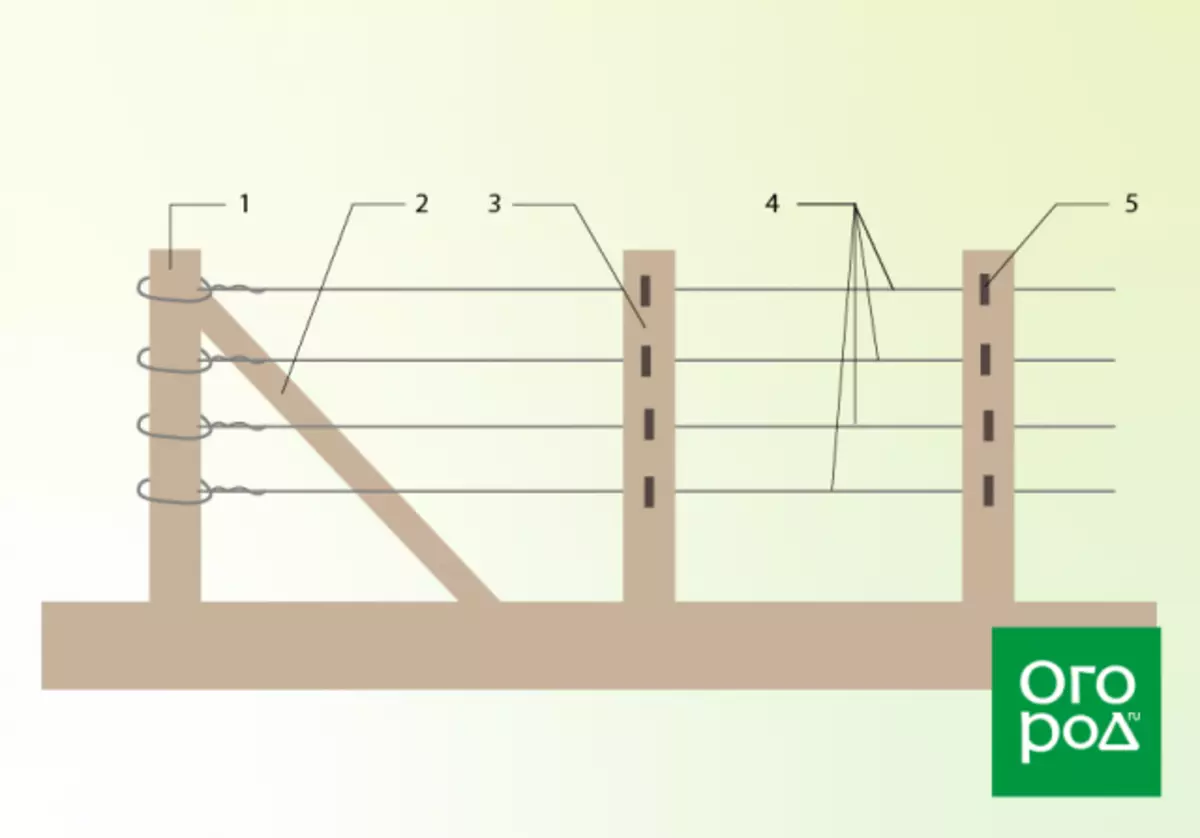 Teikning á einföldum trellis fyrir vínber