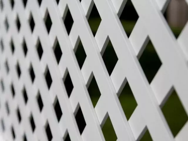 Mesh Plastic Trellis.