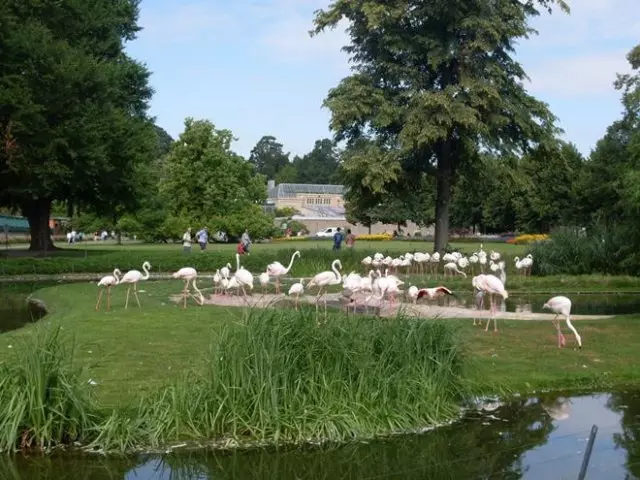 Badenas-Viurtembergas. 2 dalis. Kraštovaizdžio dizainas 5841_5