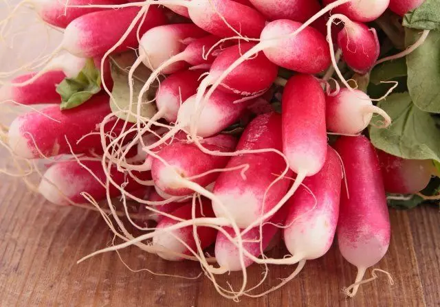 Oblong Radish