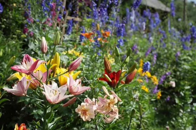 花の庭を食べるとき