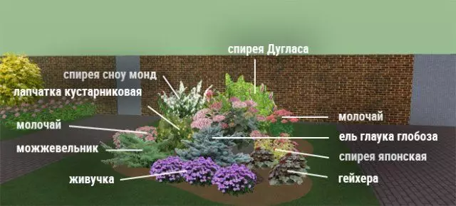 Cama de flores de floração - esquemas com cores Descrição 6209_9