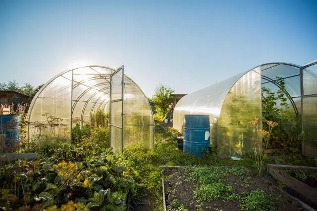 प्लॉट वर दोन greenhouses