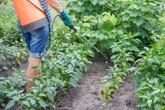 Spray Peppers